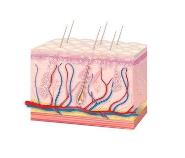 Tissue Viability and Pressure Injury Prevention - Ethical Workforce ...